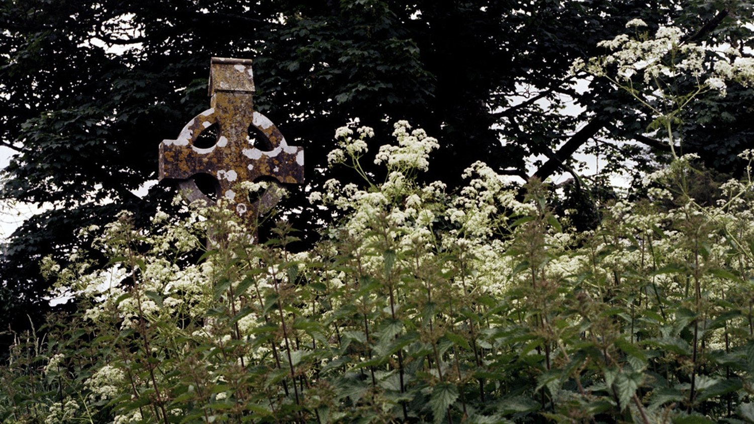 RTÉ Archives | Society | Body Snatching Trade