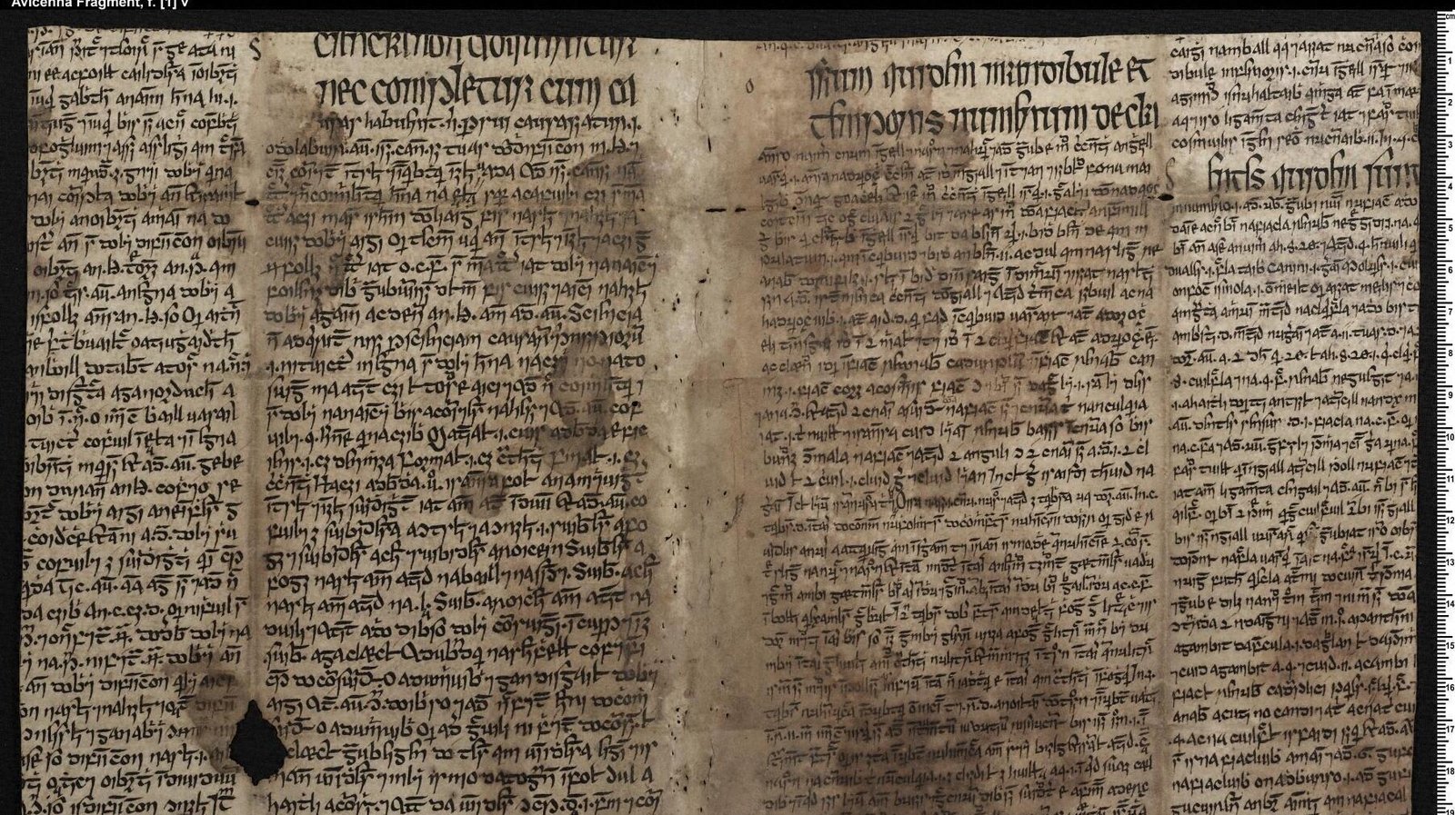 A closer look at the Irish medieval book