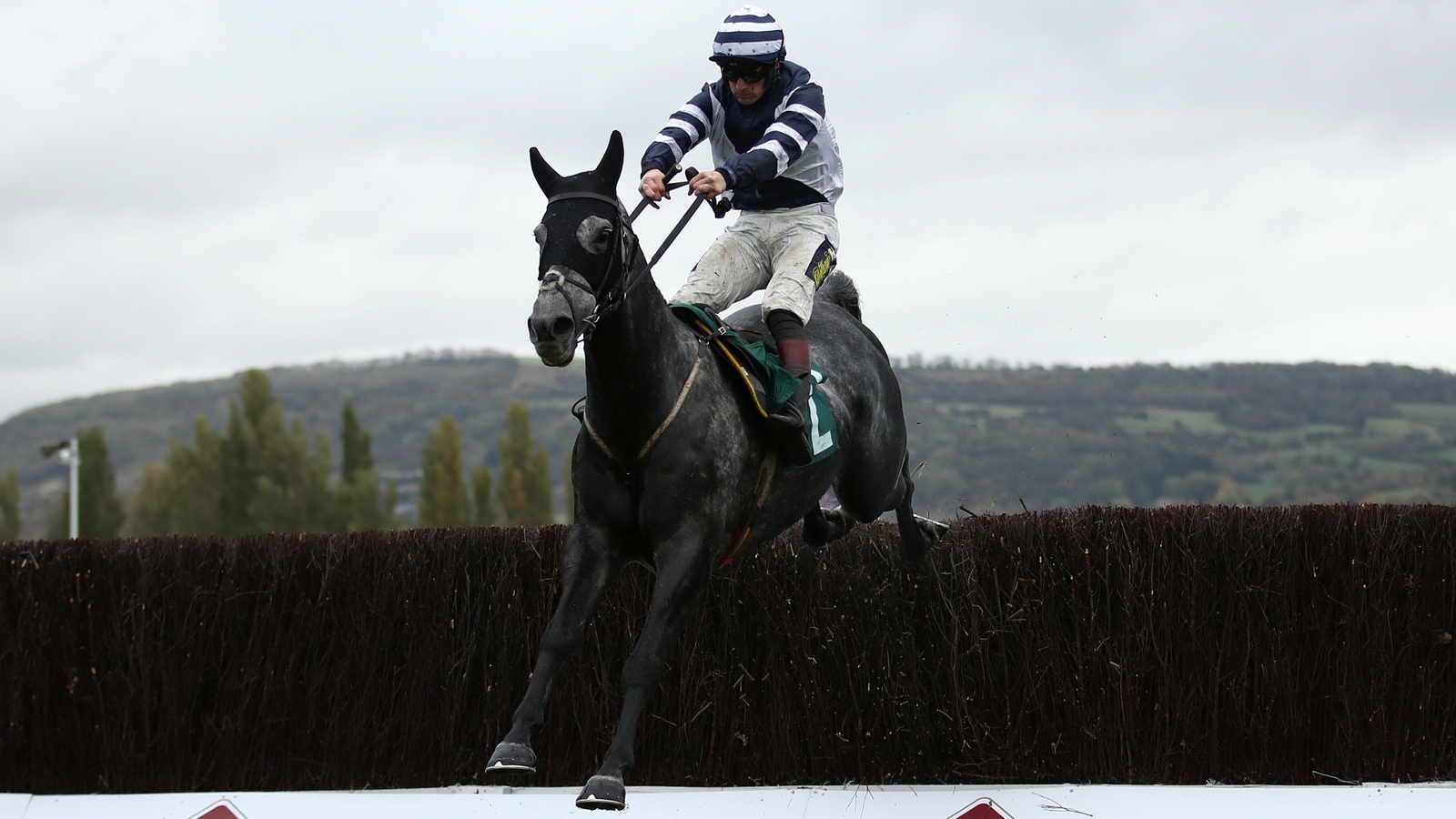 Al Dancer wins on chasing debut at Cheltenham