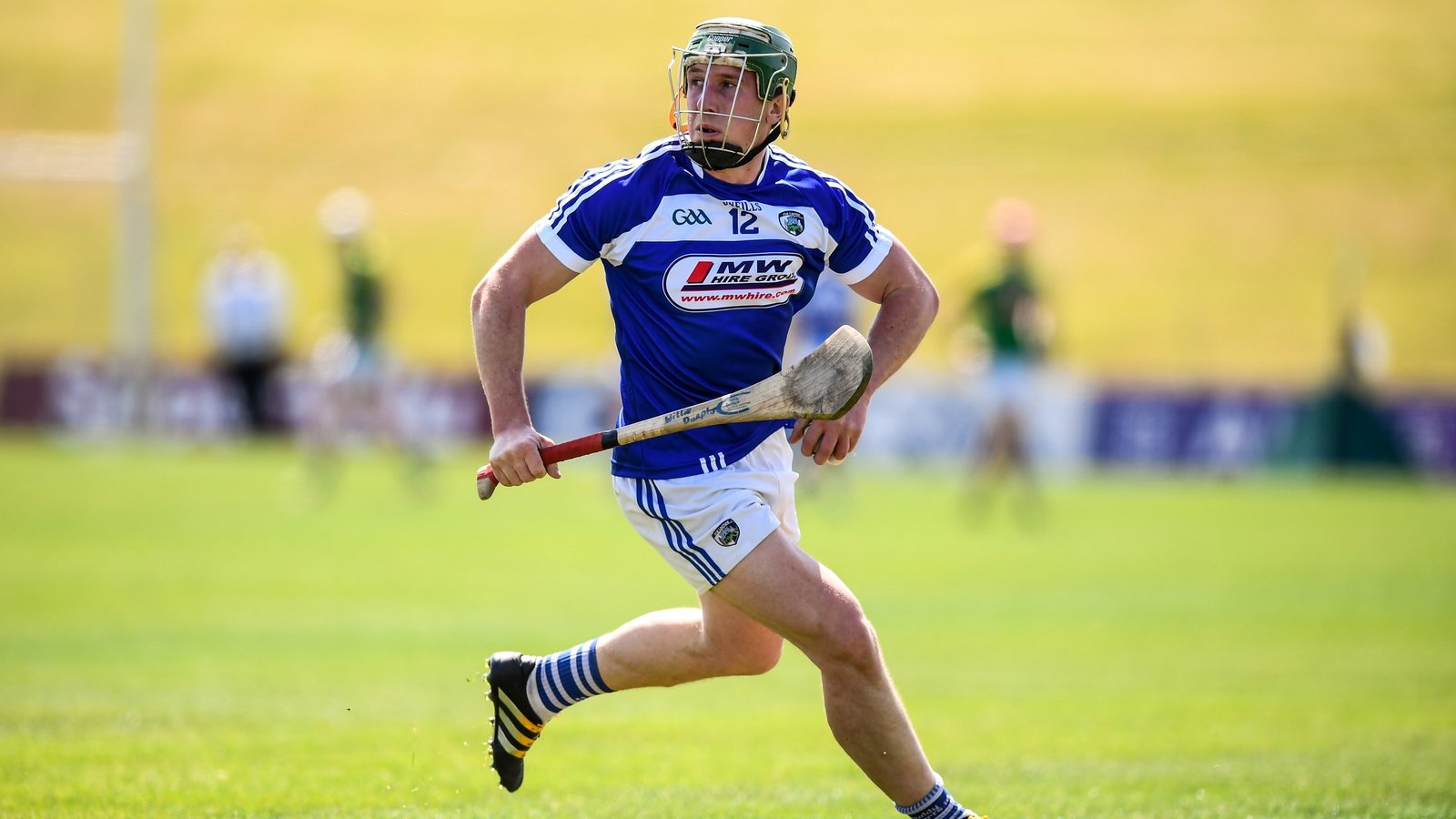 Ireland name squad for Hurling Shinty International