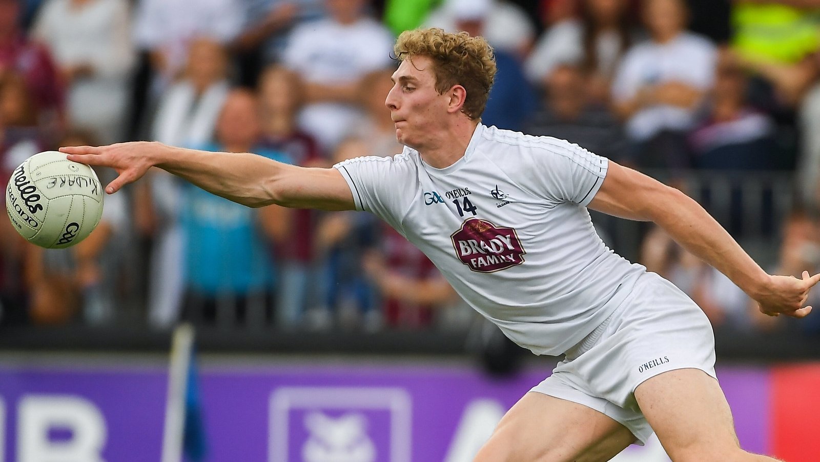 O'Connor confirms Daniel Flynn is back with Lilywhites