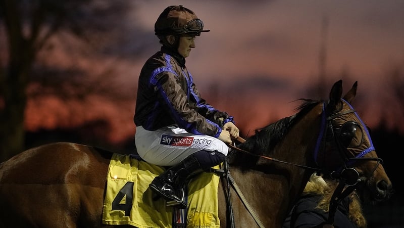 Doyle breaks her own record for most winners by a woman