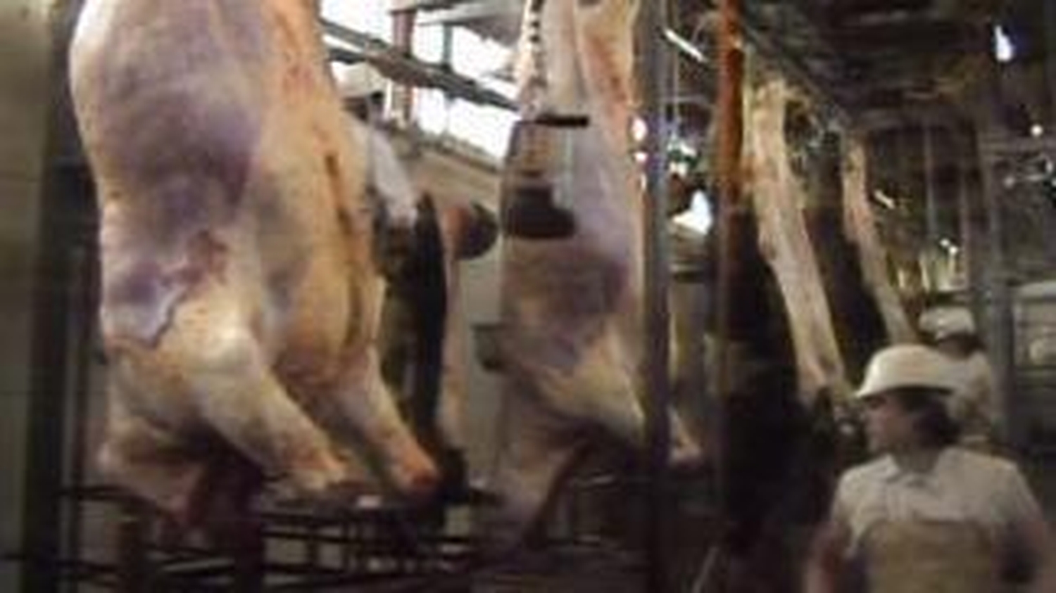 RTÉ Archives | Collections | Goodman International Expands