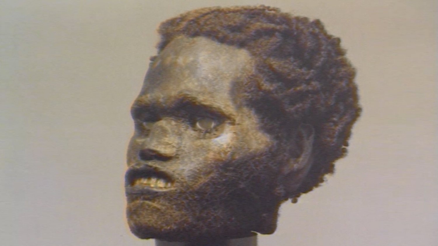 RTÉ Archives | Society | Aboriginal People Seek Return Of Head