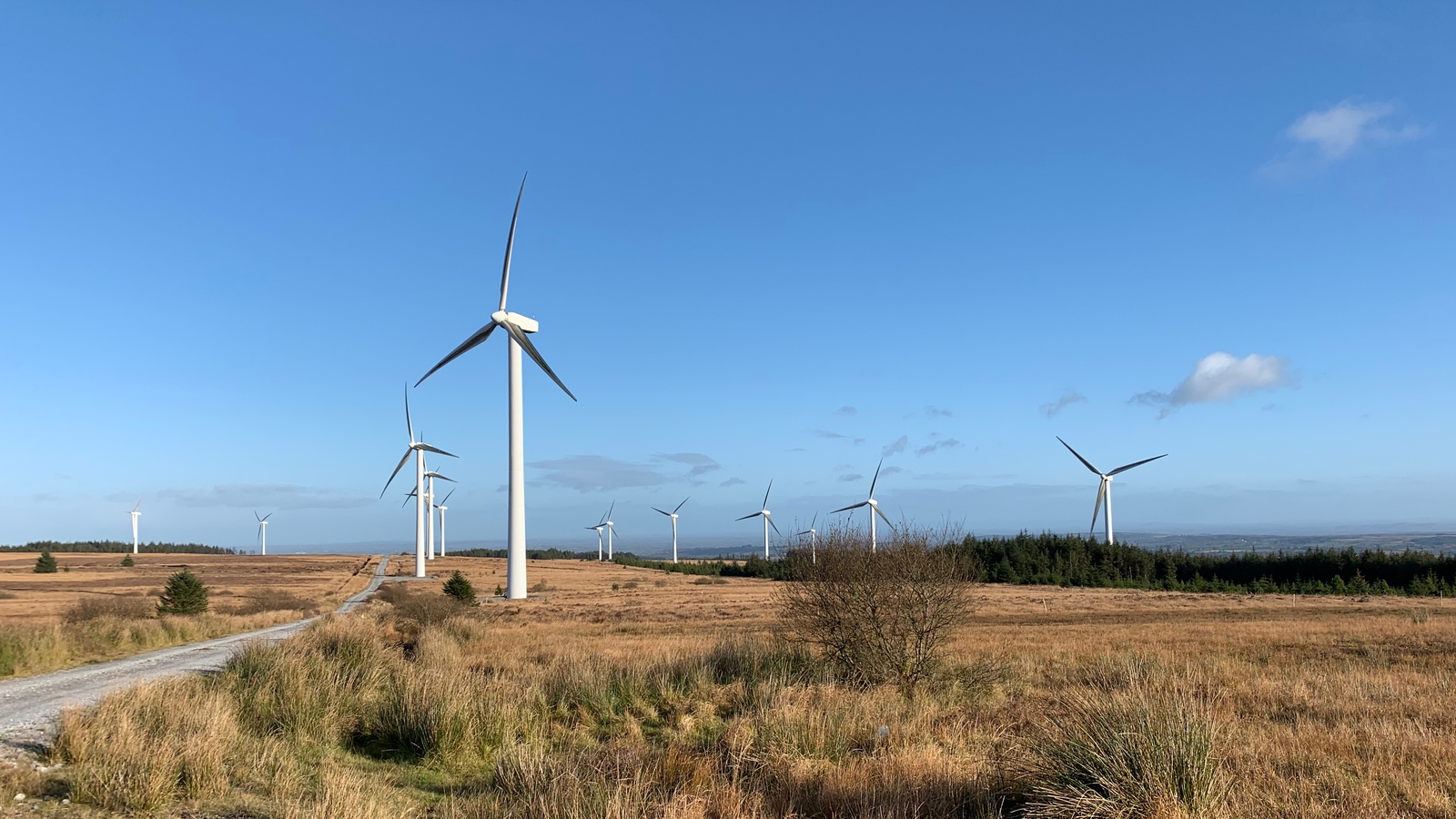 EC 'concerned' over ESB assessment of Galway wind farm