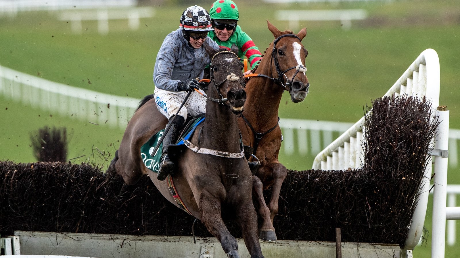 Castlegrace Paddy wins the Webster Cup Chase