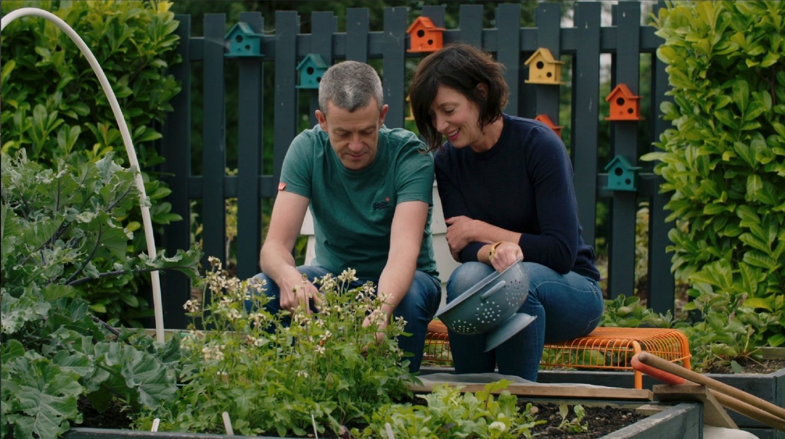 Grow, Cook, Eat: Foraging, composting & cooking