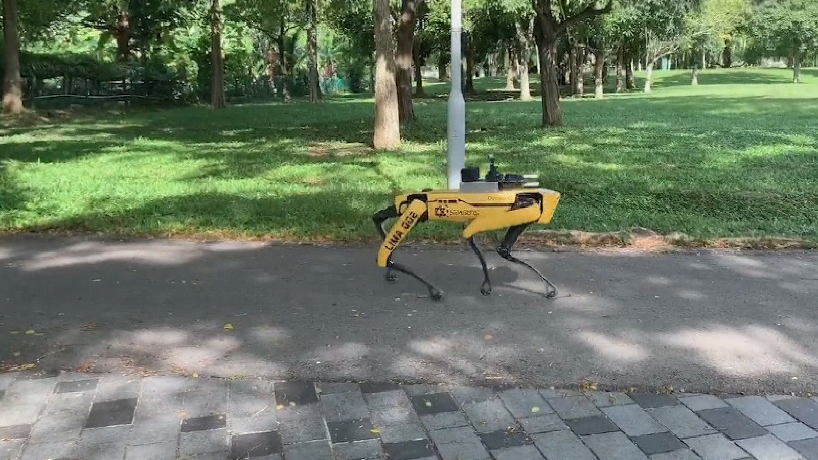 'Robot dog' enforcing social distancing in Singapore