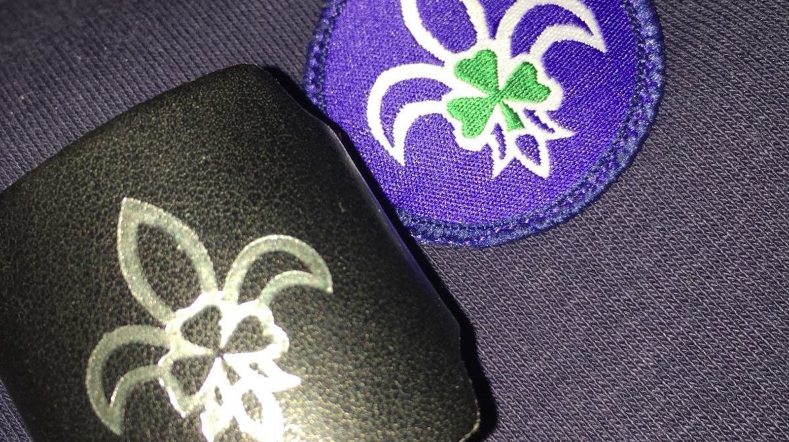 Scouting Ireland files released from former Senior Scout's home