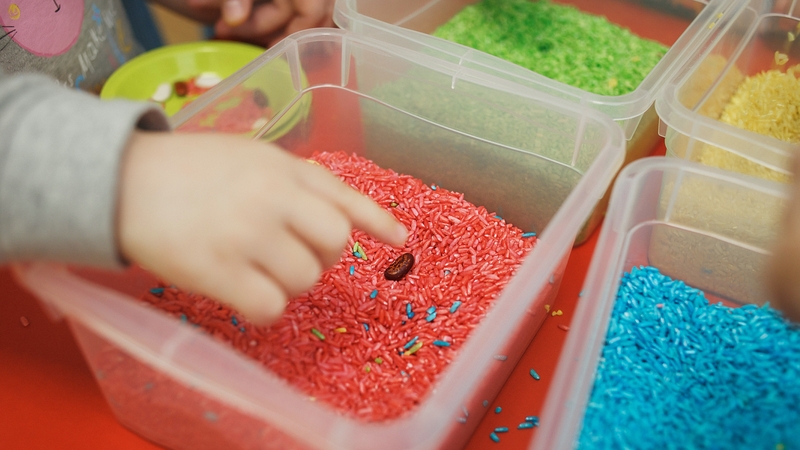 Progress on SNA support schemes welcomed