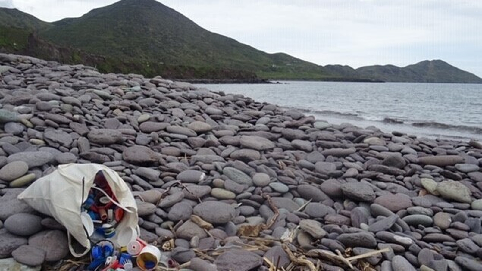 How to take part in the 2 Minute Beach Clean