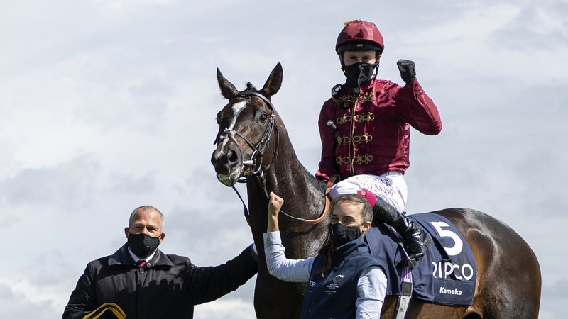Murphy basking in the glory after landmark Guineas win