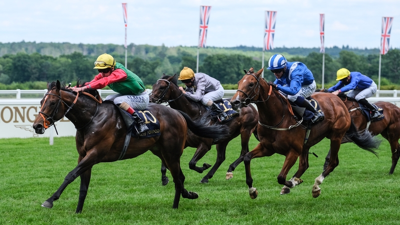 Nando delivers 150-1 shock at Royal Ascot