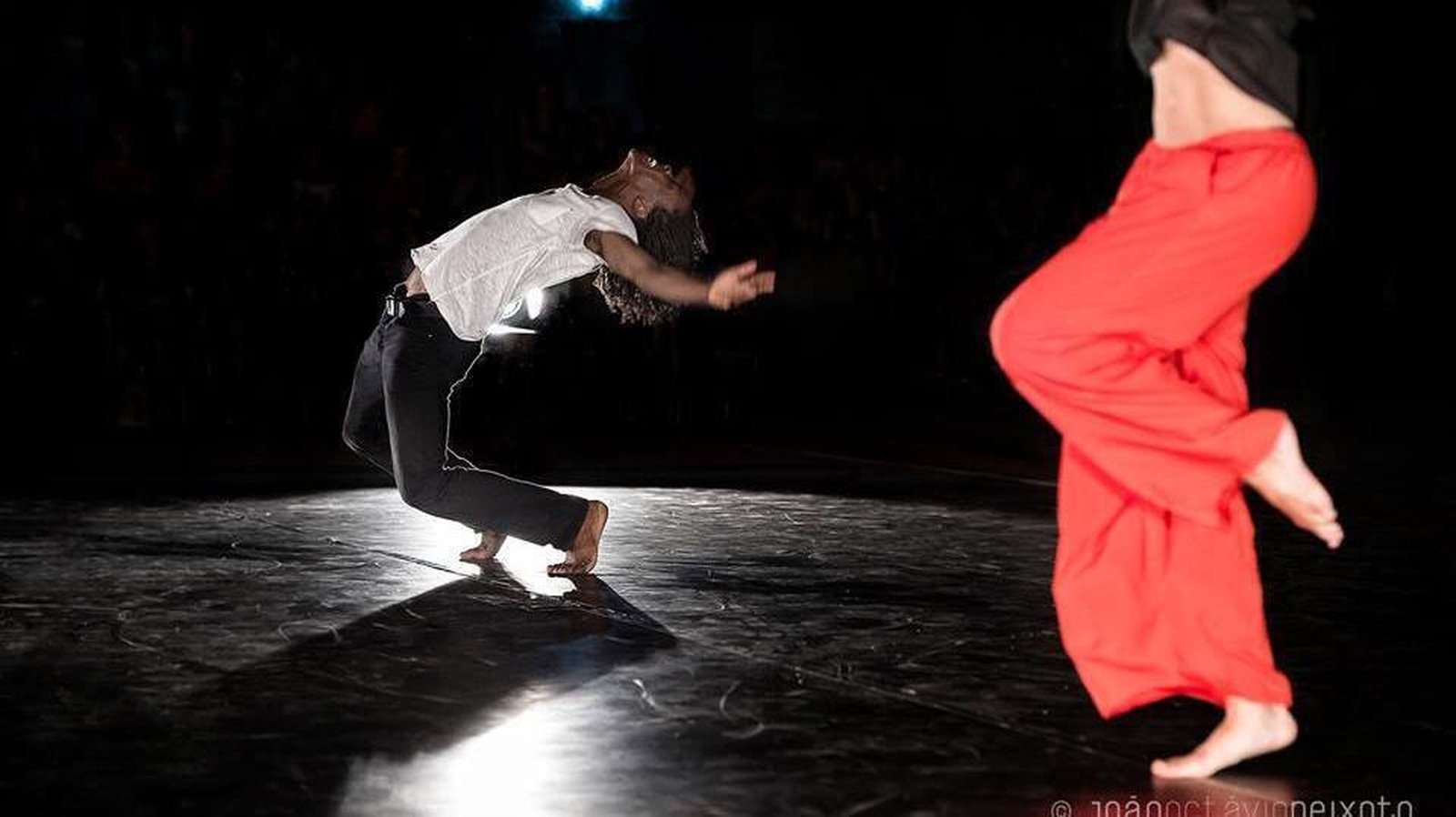 Dancer From The Dance - John Scott's festival steps online