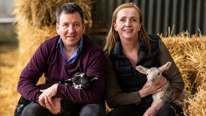 Where to find help to get your business back up and running