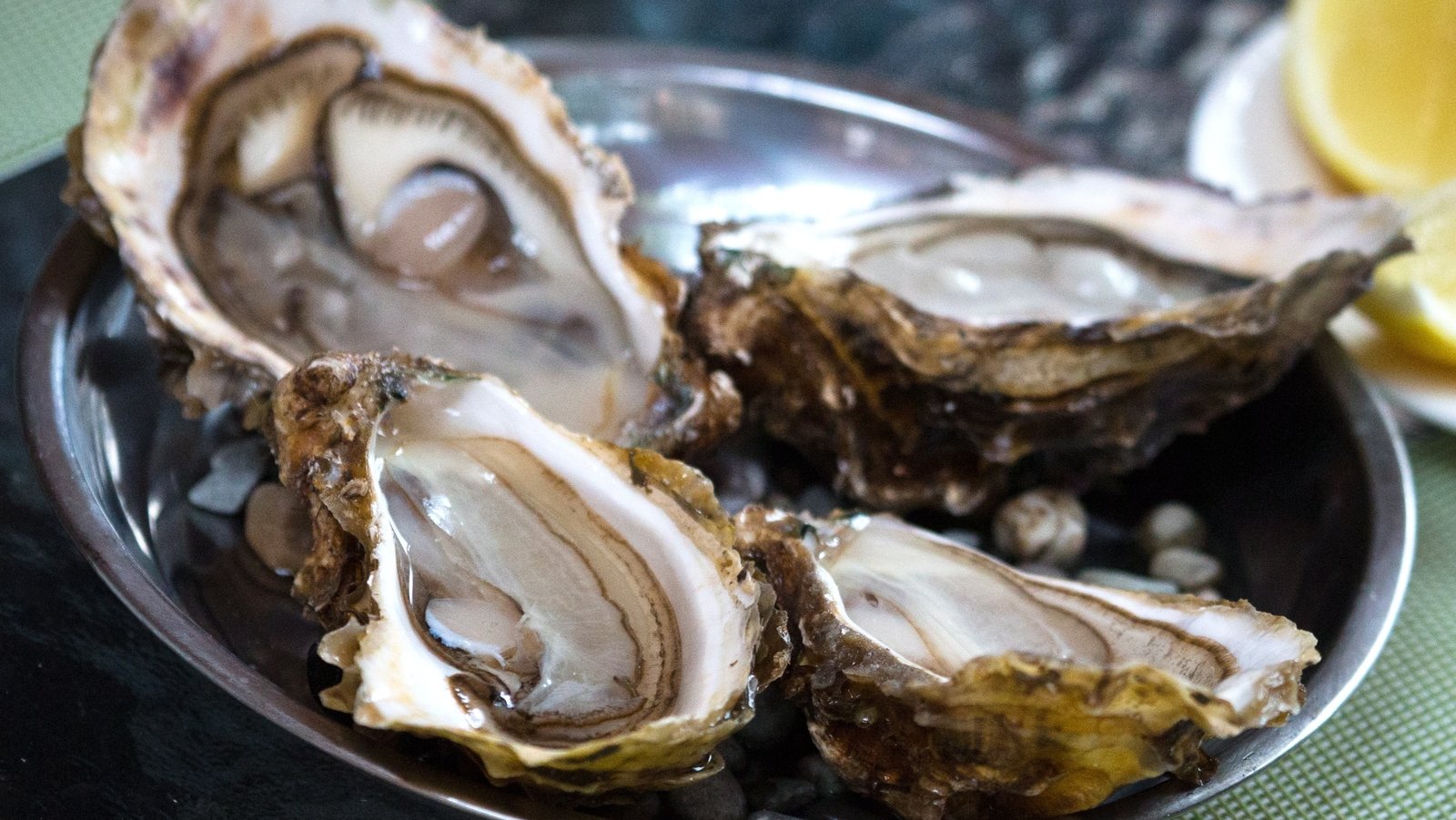 Shellfish harvesting warning over high toxin levels