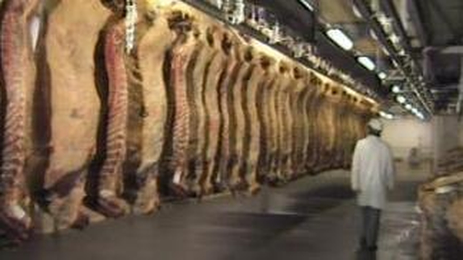 RTÉ Archives | Collections | Beef Inspections By Customs