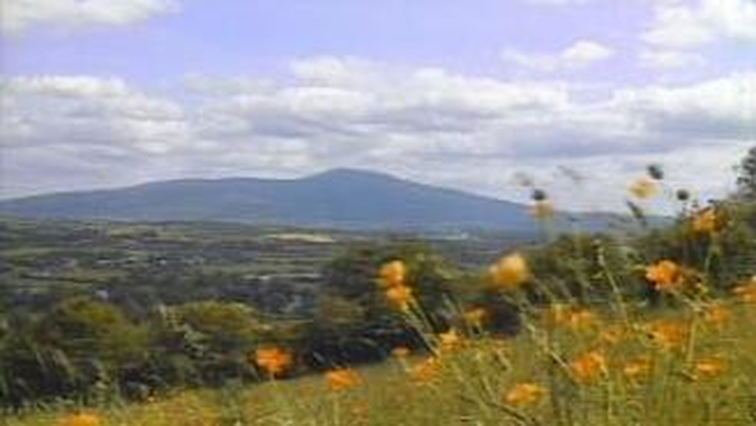 RTÉ Archives | Collections | Fine Weather