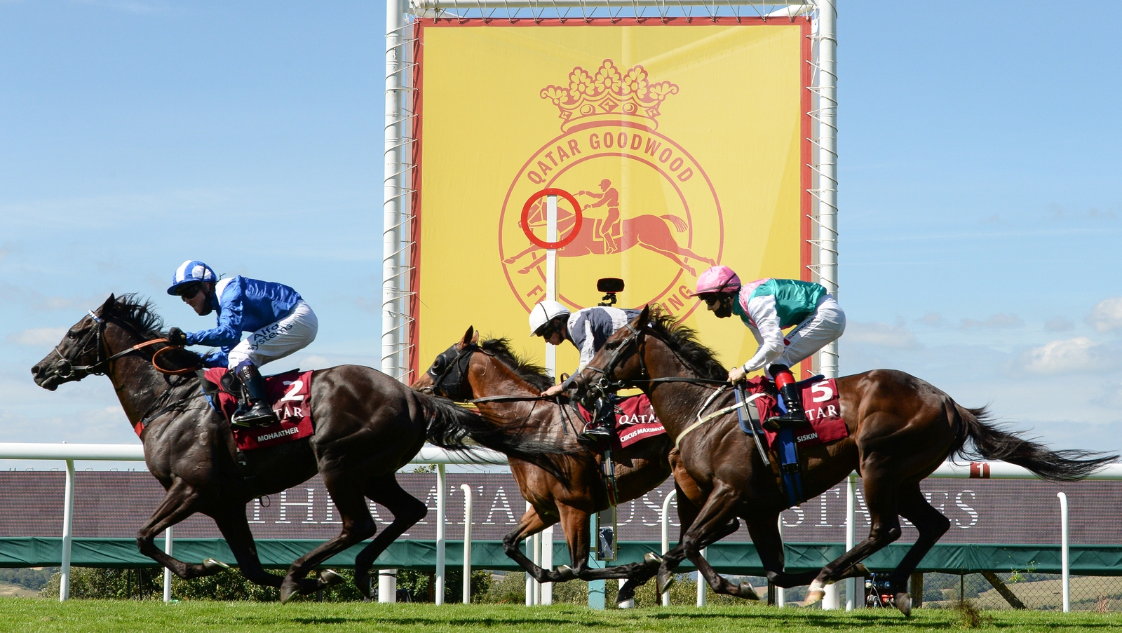 Mohaather catches Irish raiders to win Sussex Stakes