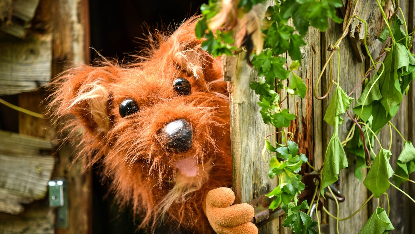 Martin's interview with a Vampire!