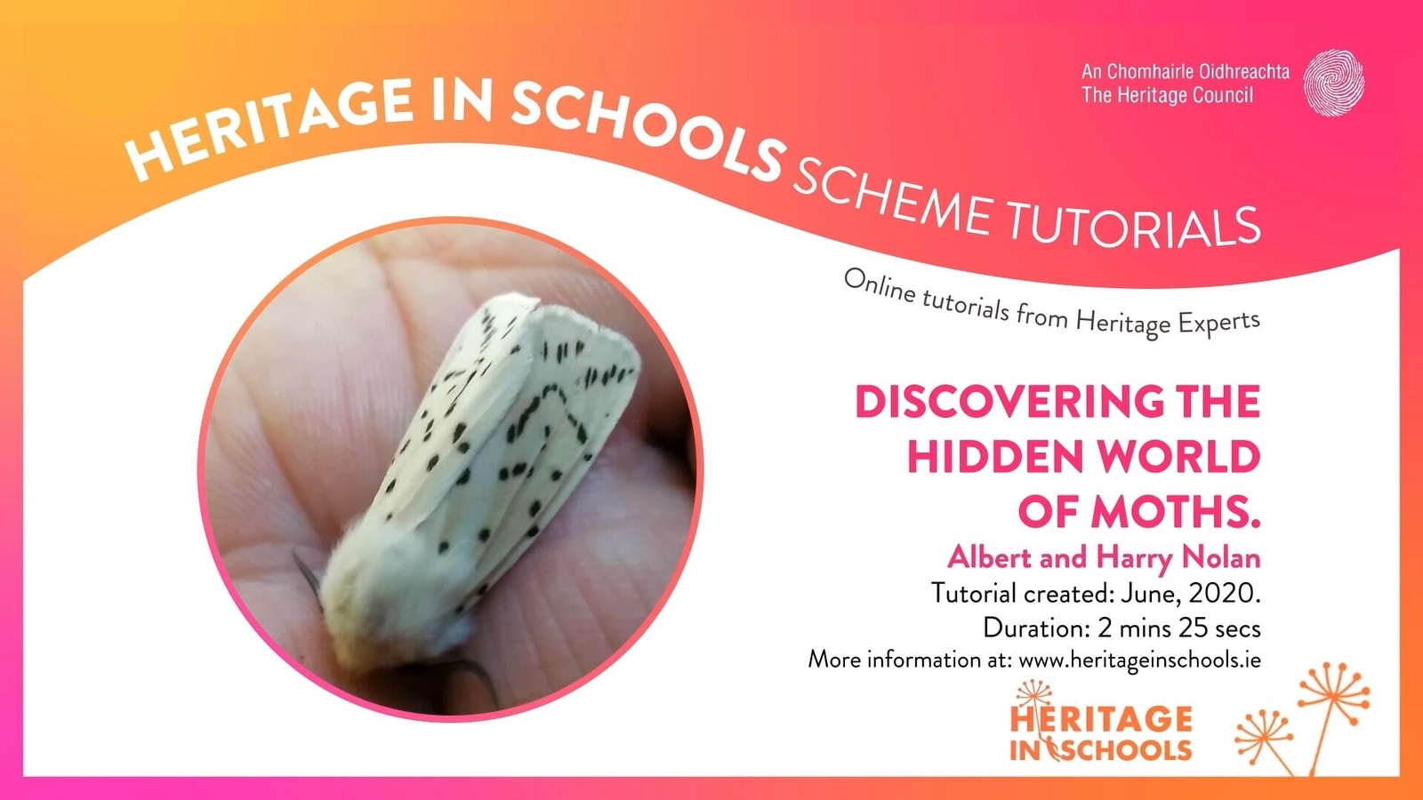 Heritage in Schools - Learn About Moths