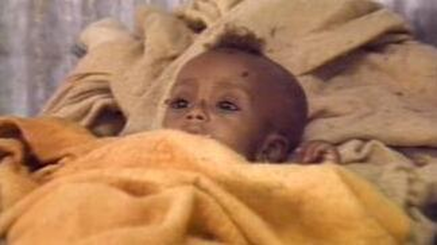 RTÉ Archives | Collections | Call For Increase In Third World Aid