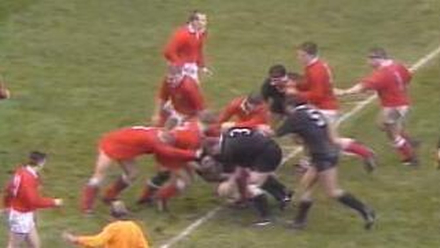 RTÉ Archives | Collections | New Zealand Rugby