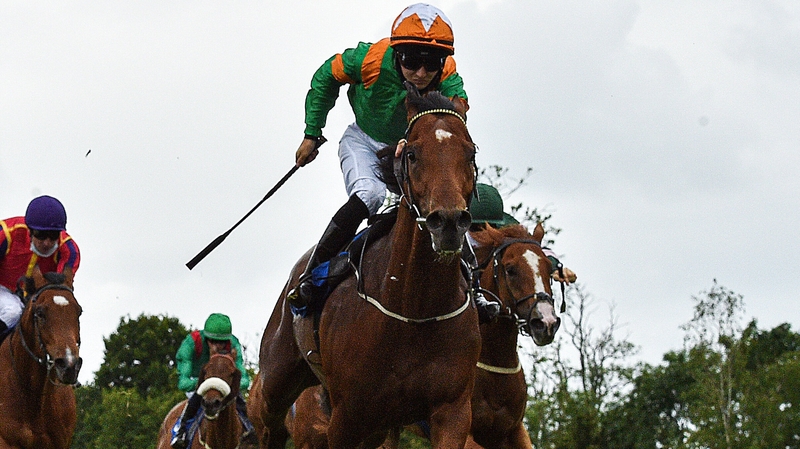 Jockey Danny Sheehy tests positive for Covid-19