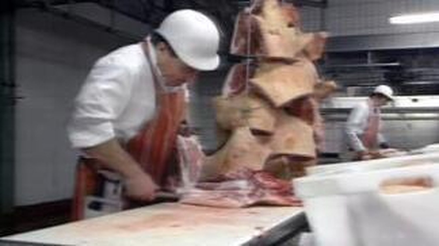 RTÉ Archives | Collections | New Pig Processing Plant