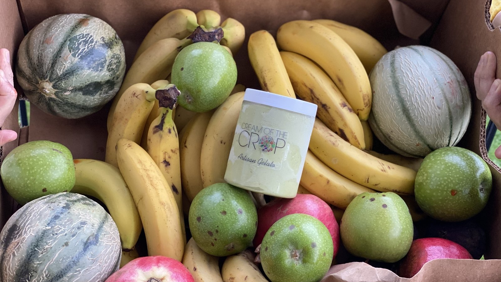 Dublin-based chef turns food waste into ice cream