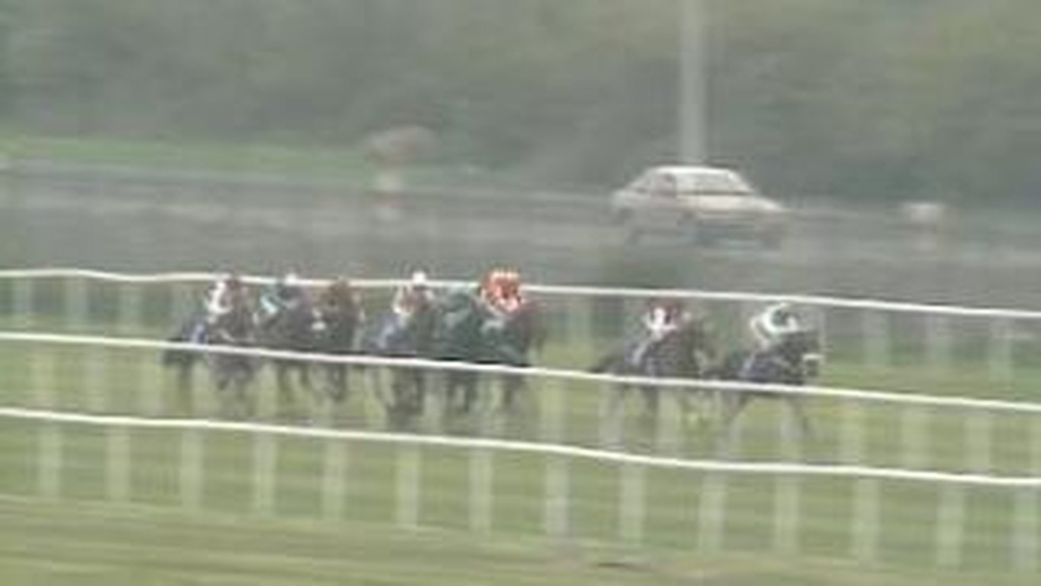 RTÉ Archives | Collections | Phoenix Park Racing