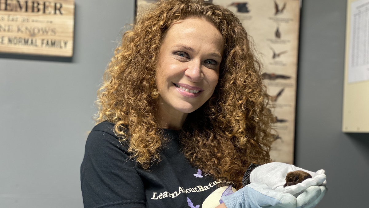 Bat Rehab Ireland | The Ryan Tubridy Show - RTÉ Radio 1