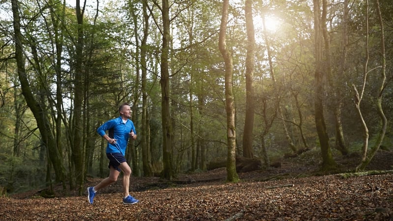 Bank of Ireland introduces Woodland Nature Credit