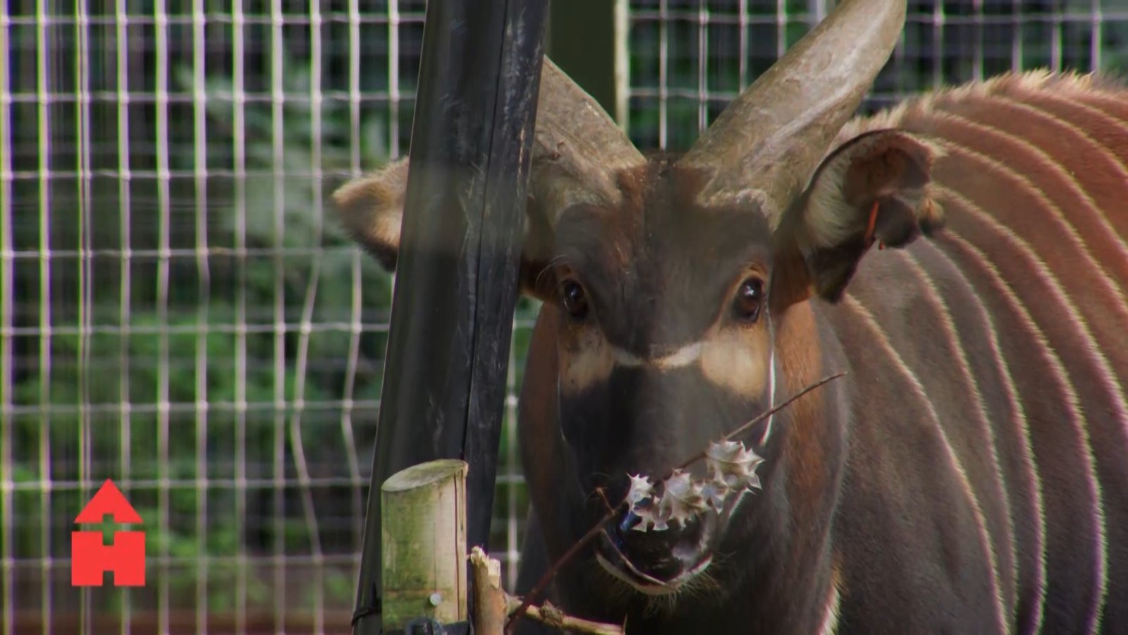 Can you see me now?!