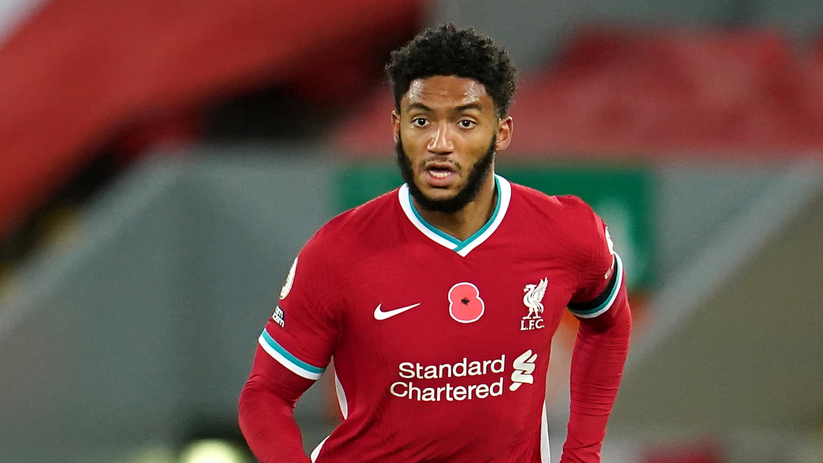 Gomez surgery reveals no knee ligament damage