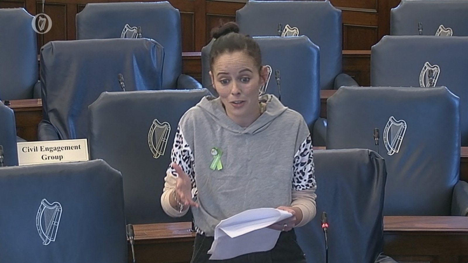 Senator Eileen Flynn: A trailblazing Traveller woman