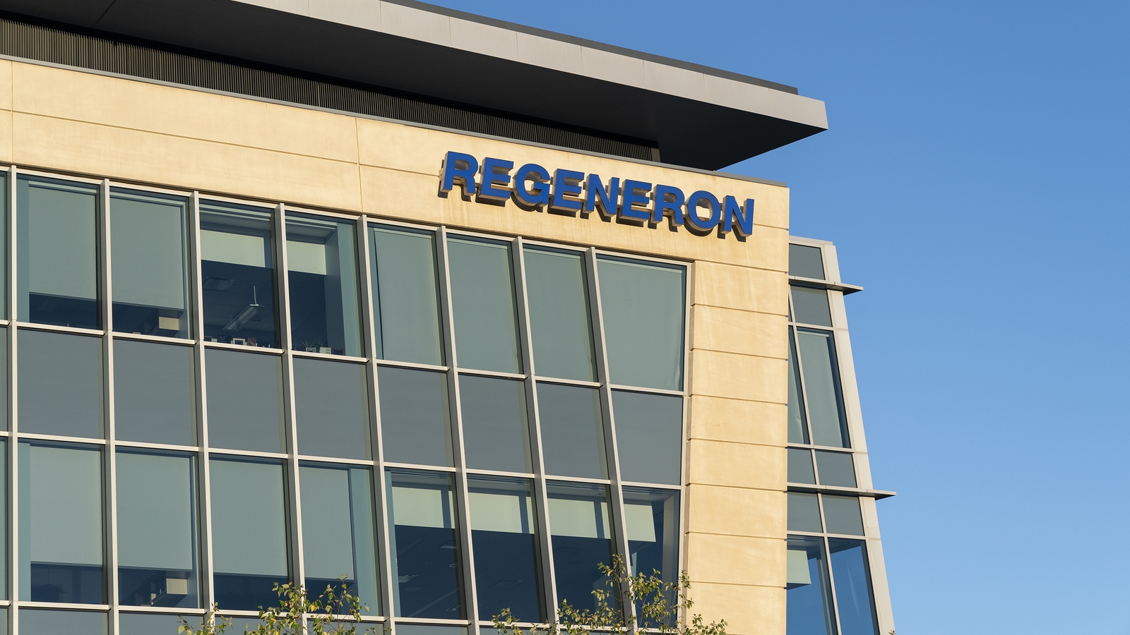 US approves Regeneron antibody treatment given to Trump
