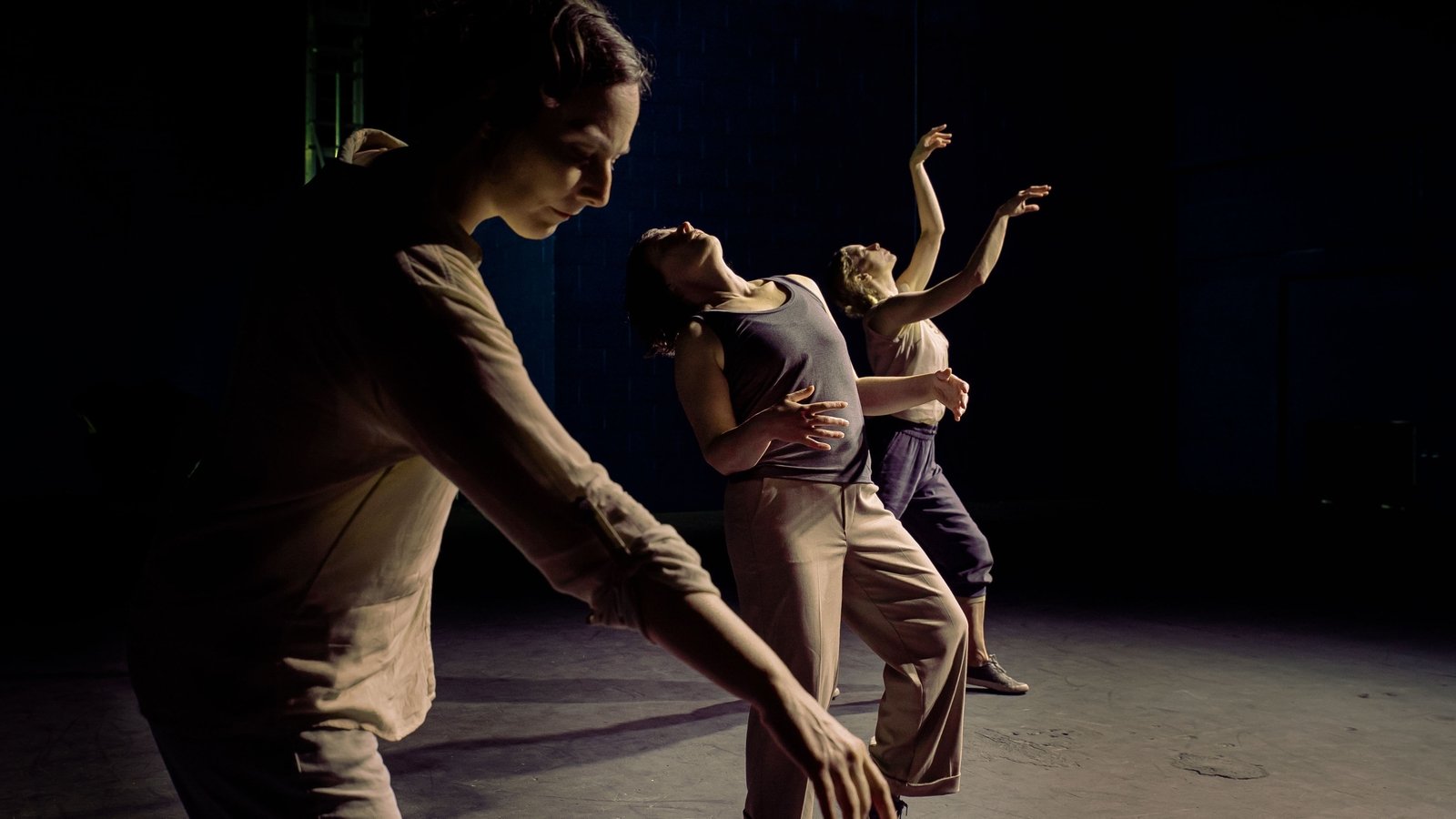 Alternately Terrific & Gentle: Liz Roche on dancing long-distance