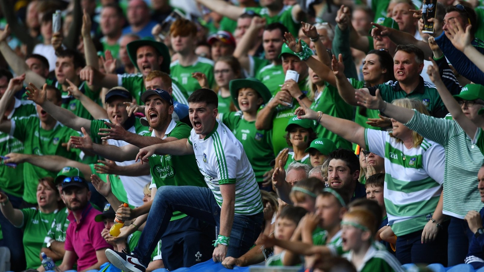 Limerick appeal to fans ahead of All-Ireland final
