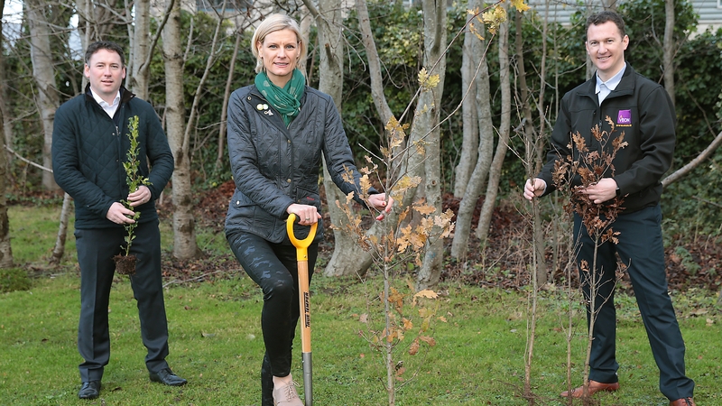 Virgin Media partners with VEON to plant 50,000 trees