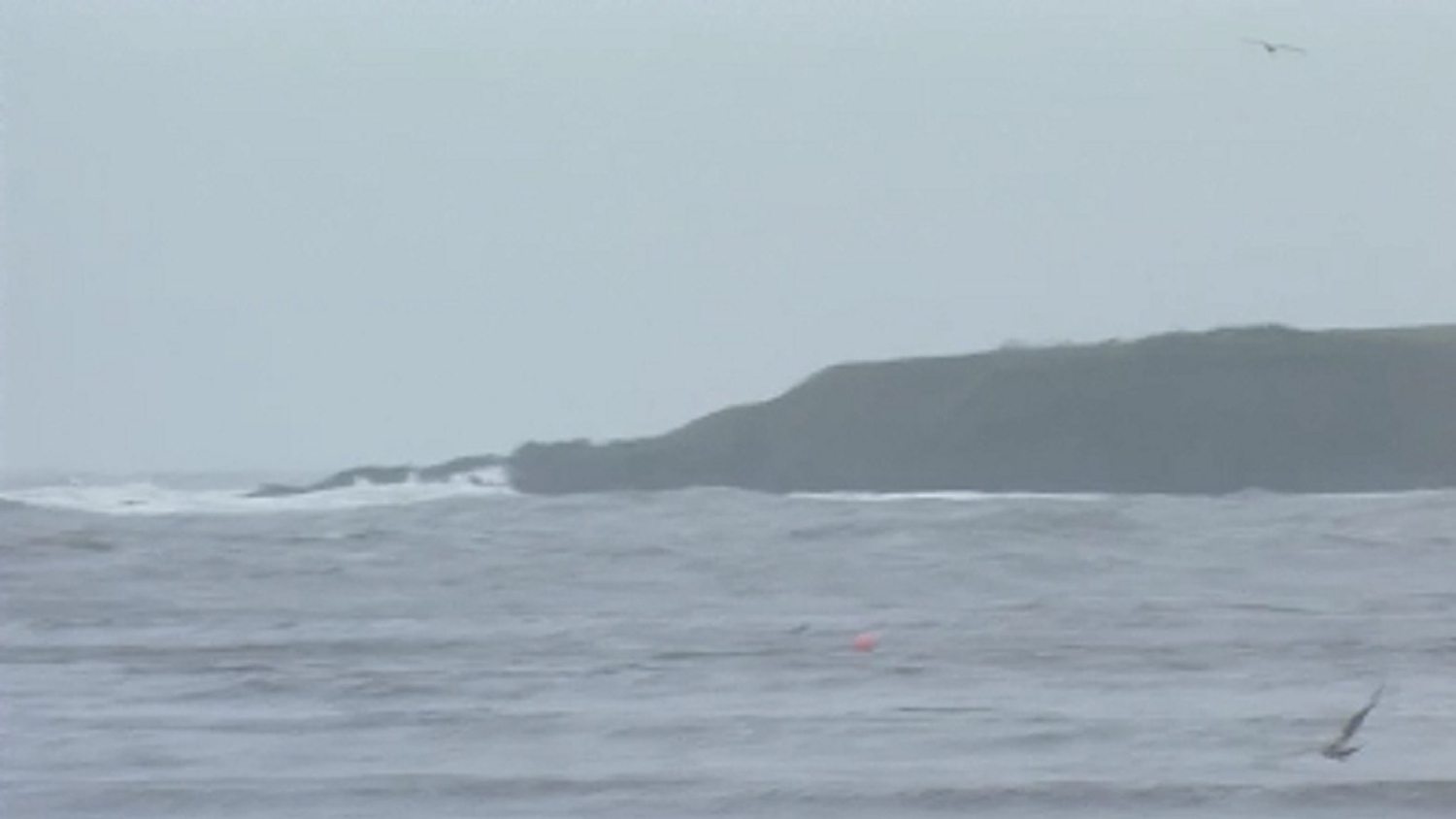 RTÉ Archives | Environment | Were The Romans In Ireland?