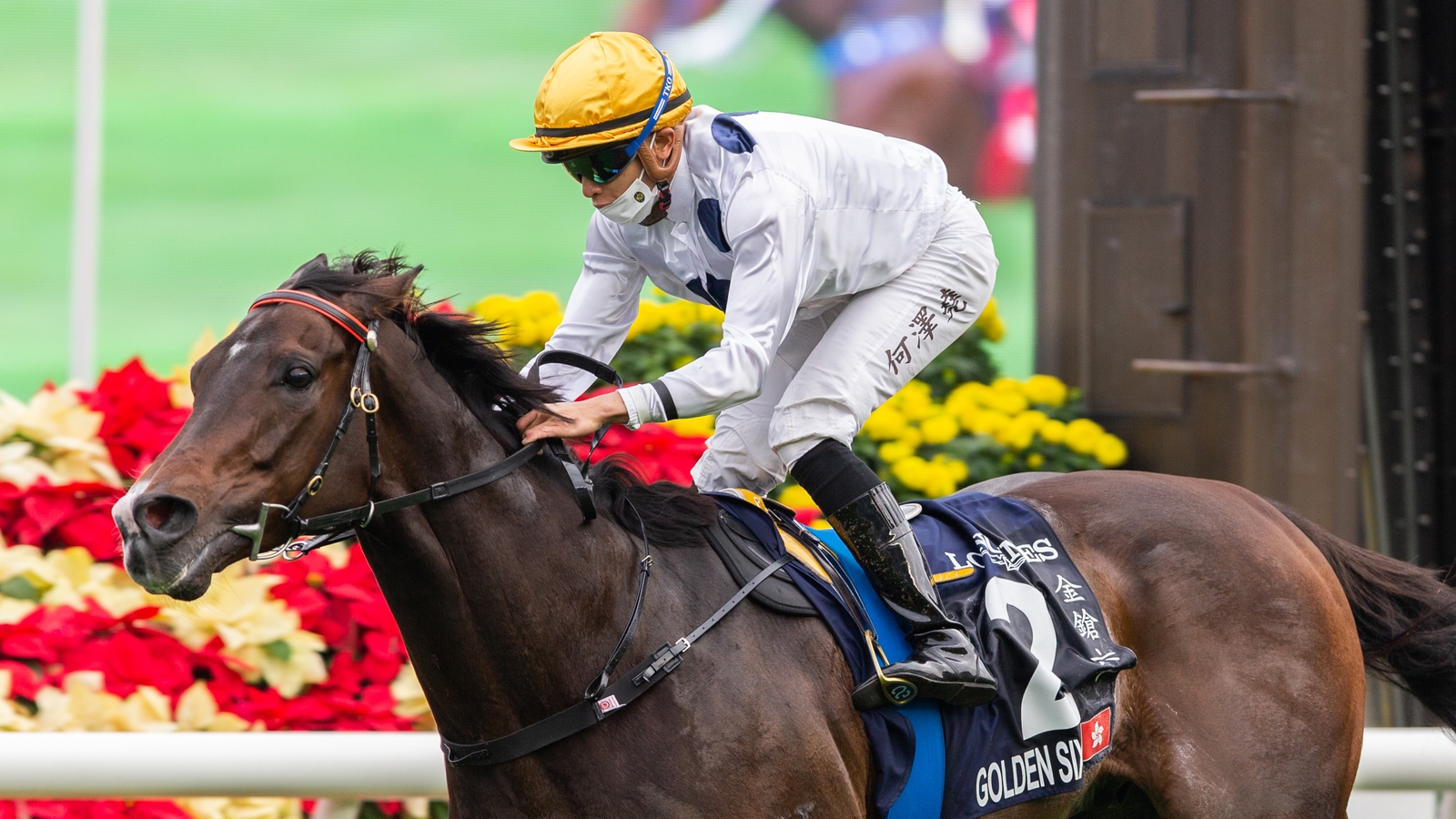 Golden Sixty racks up 12th win on the bounce at Sha Tin