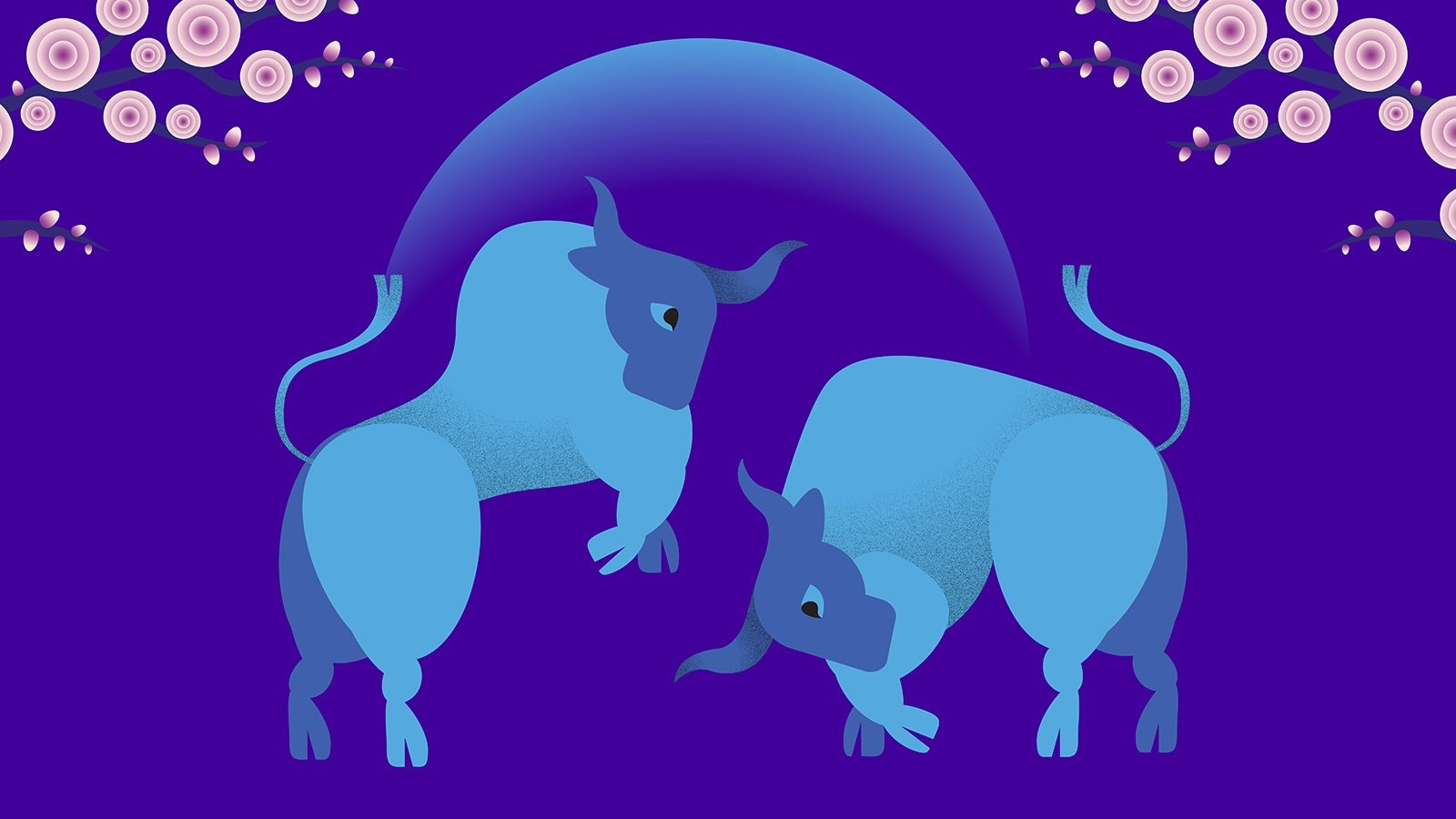 Chinese New Year - everything you need to know