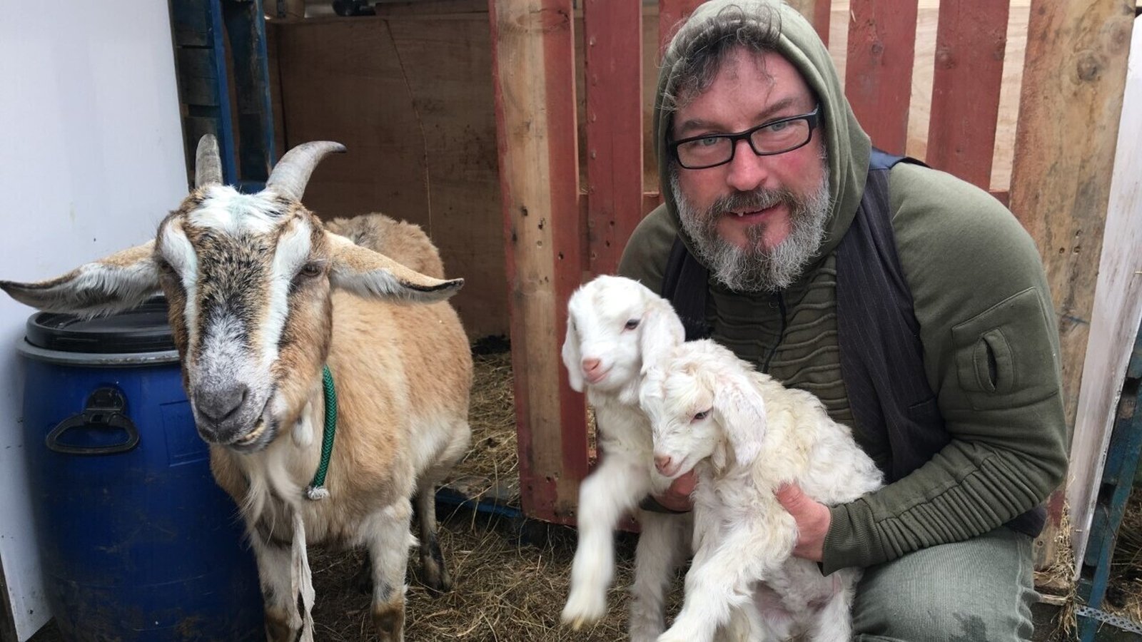Kidding around: Kerry farmer's goat videos go viral