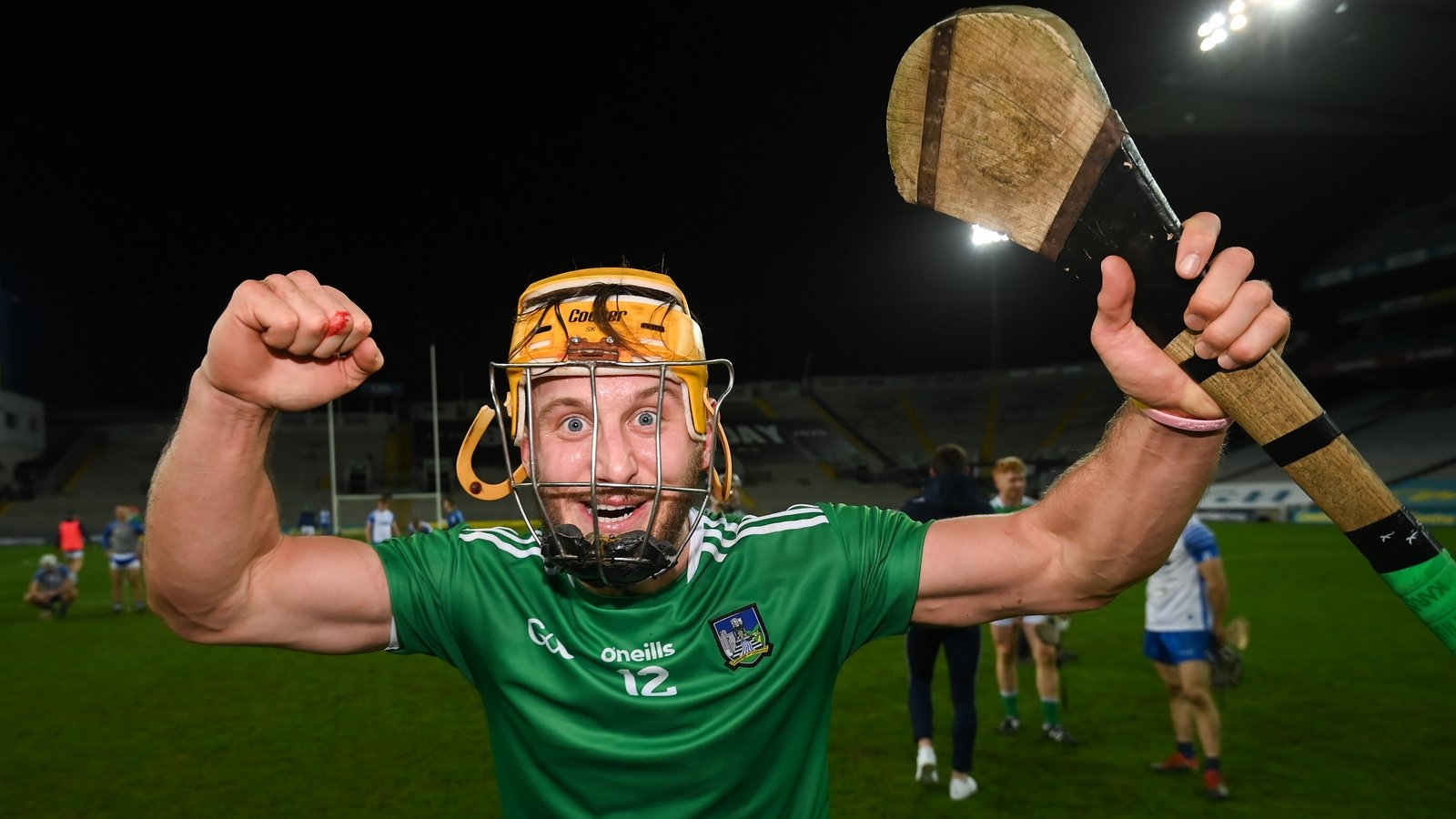 Five counties included but Limerick dominate All-Stars