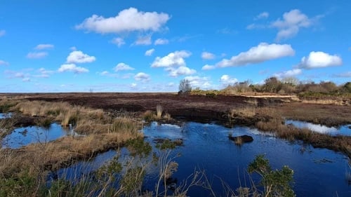 Galway groups showcase benefits of bog restoration