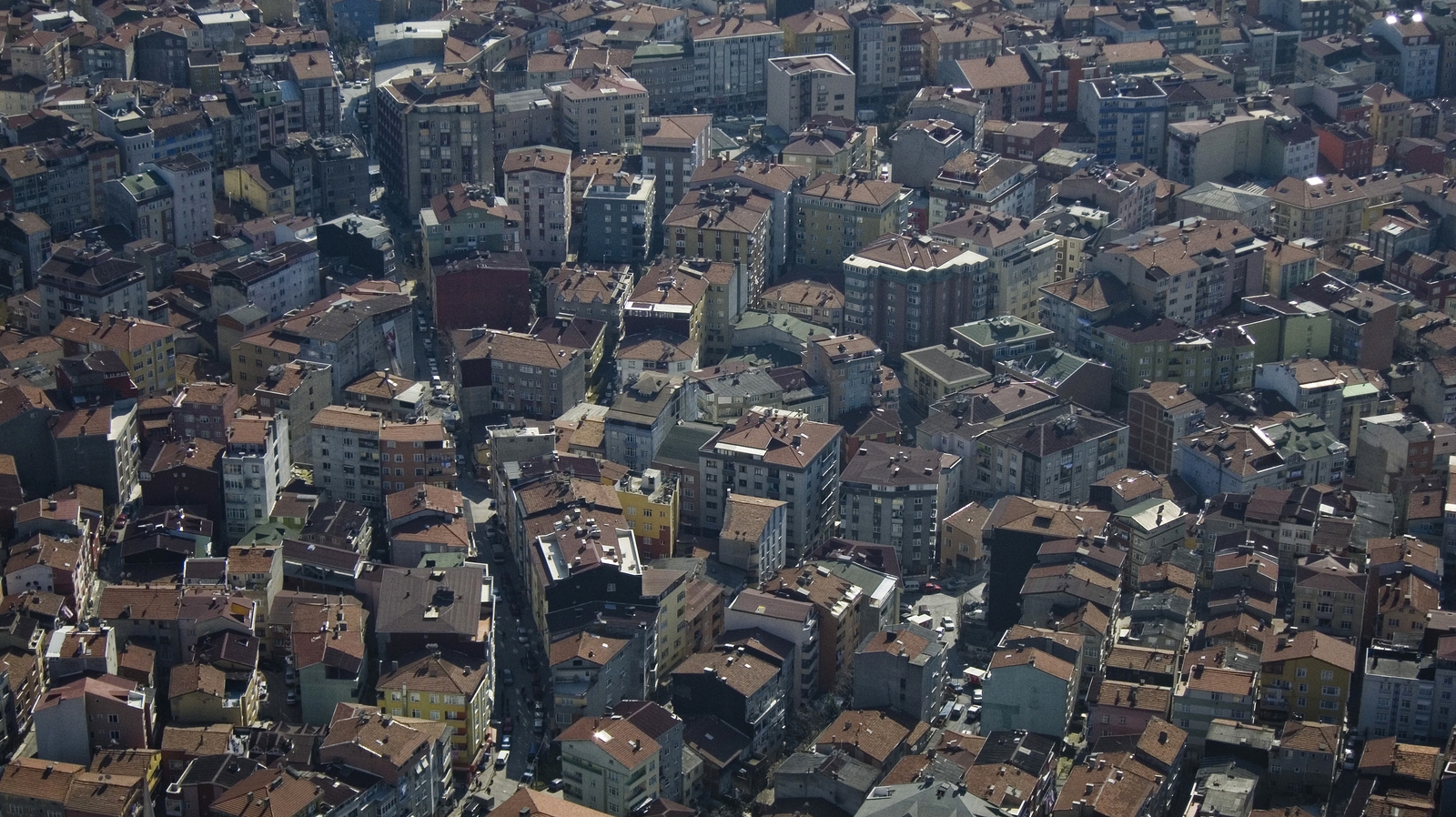 Human dominance of Earth has come at a steep cost to our planet