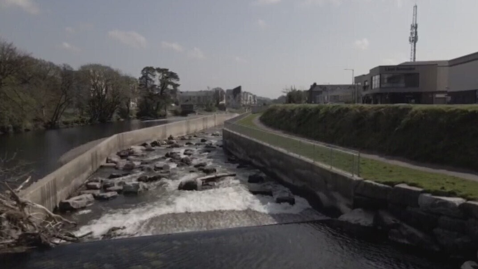 Works to be carried out to assist fish migrate up river