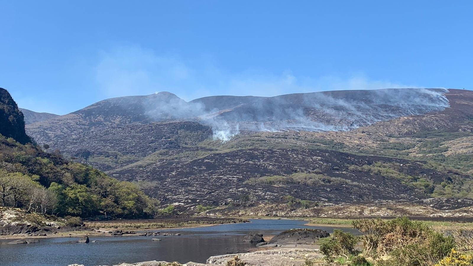 Half of Killarney park landmass damaged in fires
