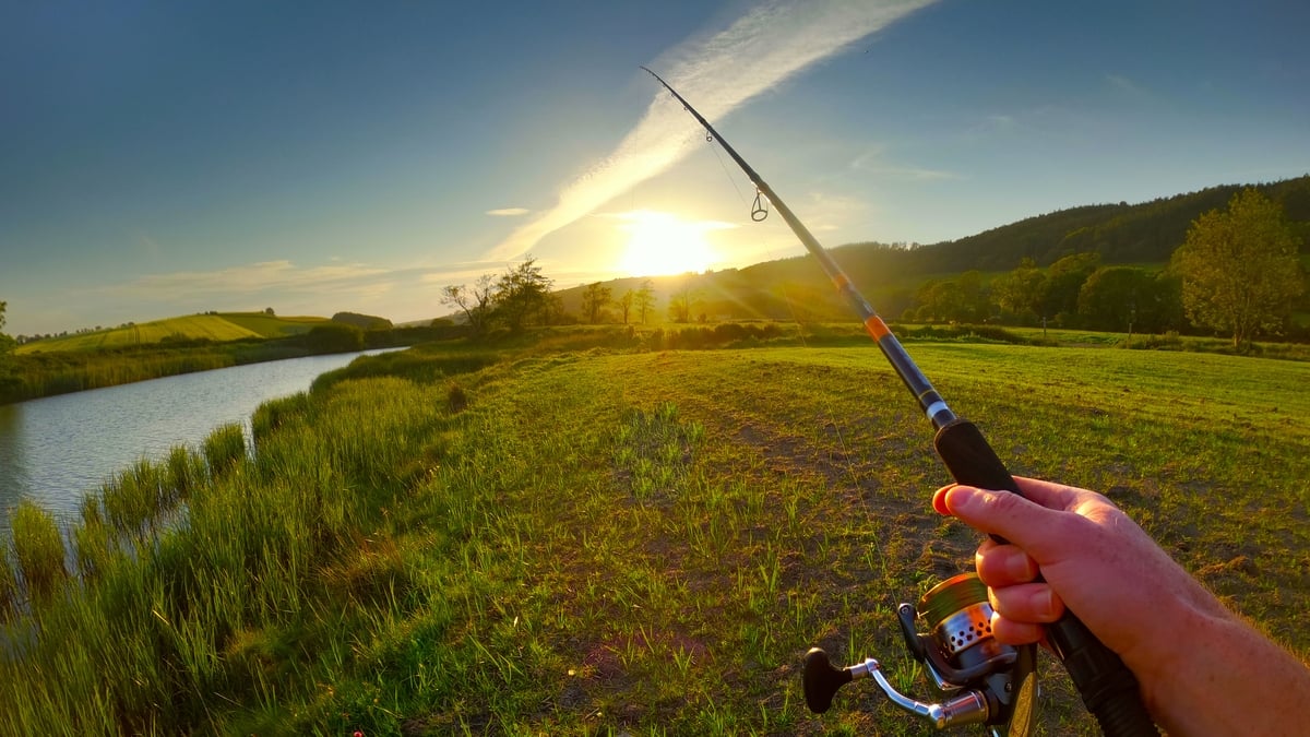 Professional Fishing Cheating Scandal | Drivetime - RTÉ Radio 1